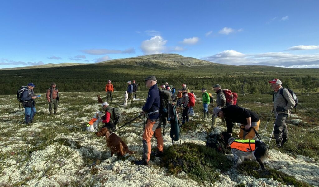 20.-22.08 Ringebuprøven - Norsk Engelsksetterklubb